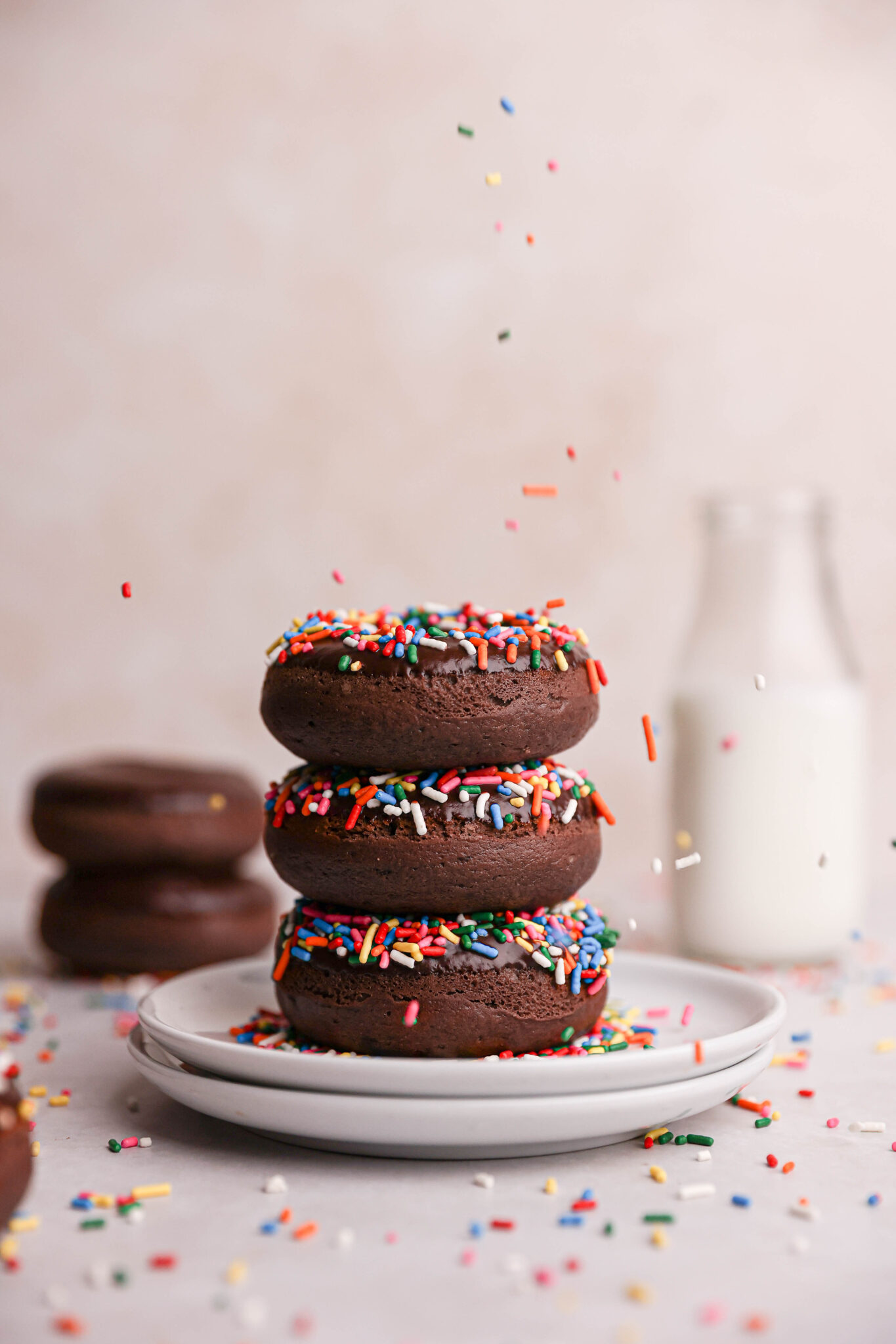 Chocolate Frosted Donuts | Sturbridge Bakery