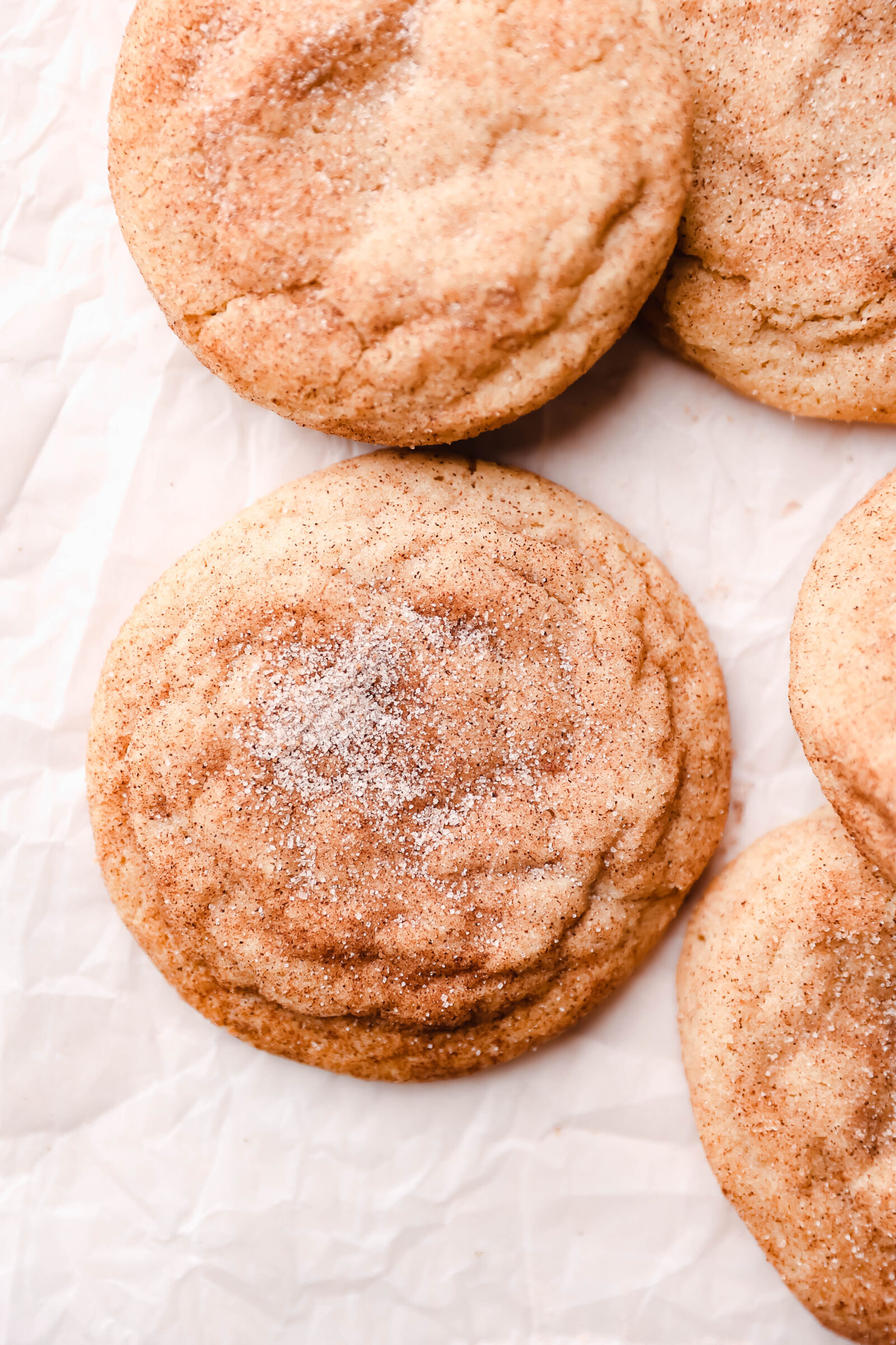 Thick and Soft Snickerdoodle Cookies | Sturbridge Bakery