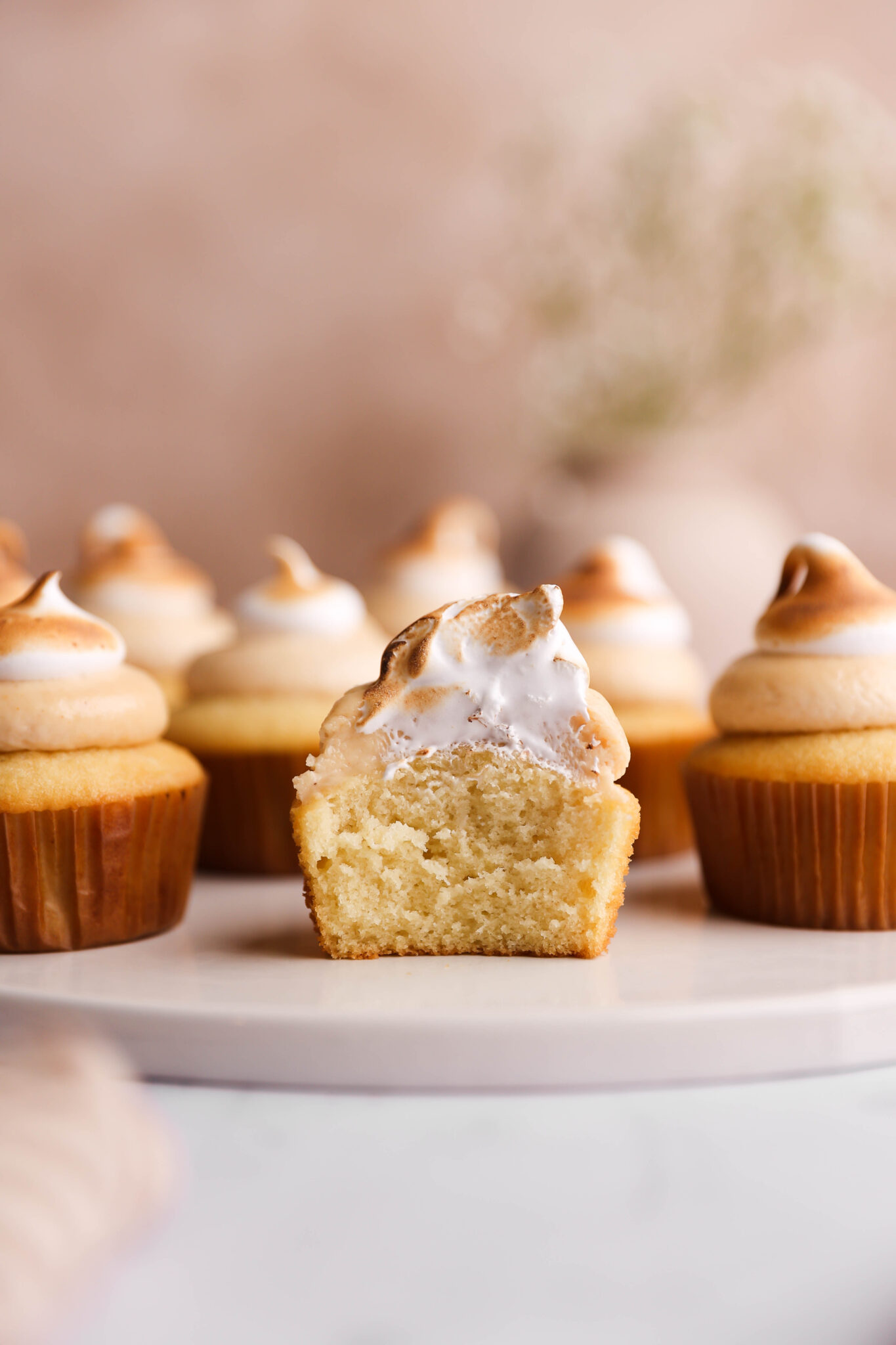 Fluffernutter Cupcakes | Sturbridge Bakery