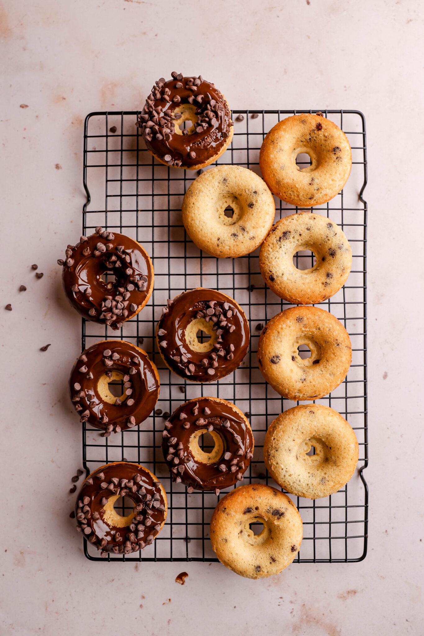 Chocolate Chip Donuts | Sturbridge Bakery