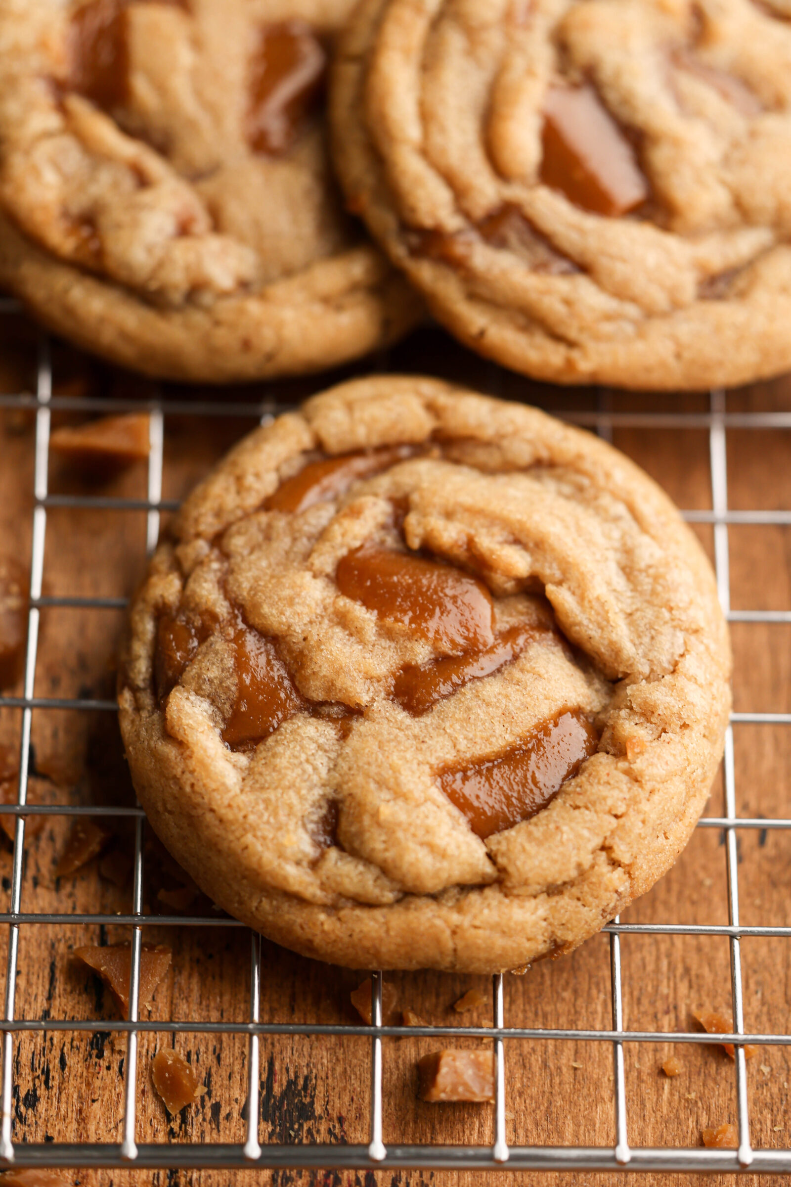 Toffee Cookies | Sturbridge Bakery